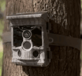 Best Trail Cameras for Deer Monitoring - Lawn Care Campus Shop