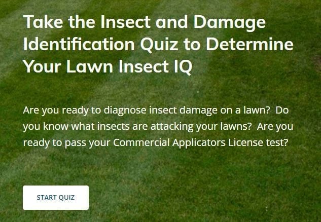 Insect Identification and Damage Quiz - Lawn Care Campus Shop